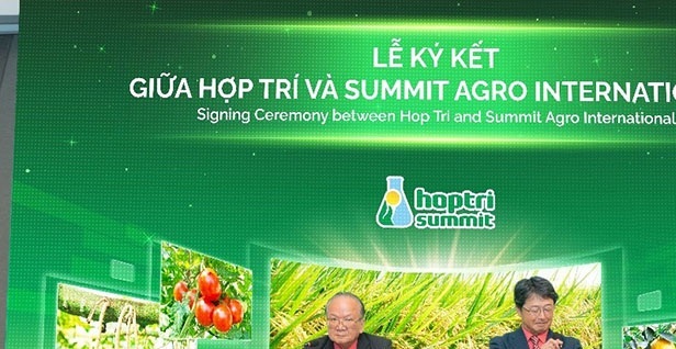 CÔNG TY CỔ PHẦN HỢP TRÍ SUMMIT Tuyển Dụng | Vieclam24h