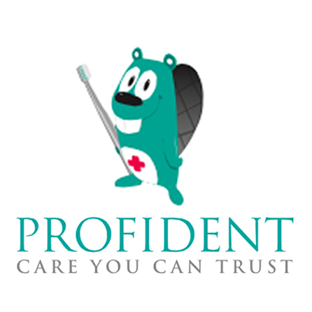 Công ty TNHH PROFIDENT Tuyển Dụng | Vieclam24h