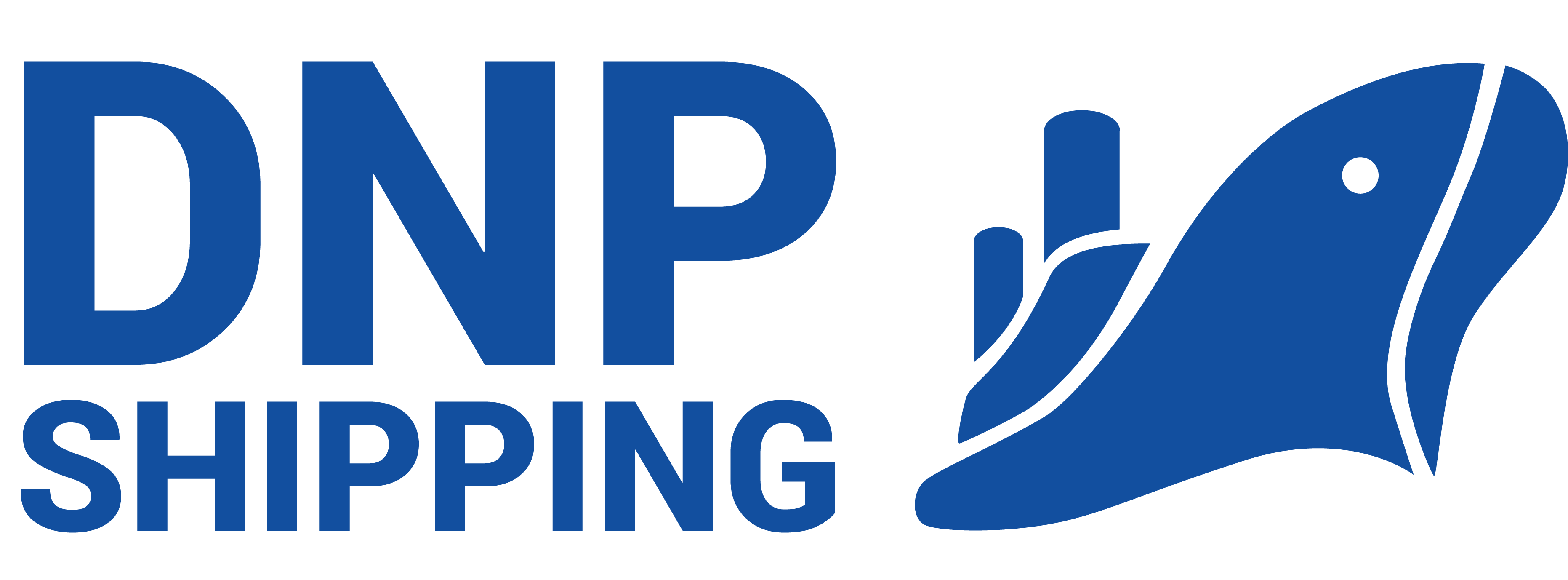 DNP SHIPPING CO., LTD Tuyển Dụng | Vieclam24h